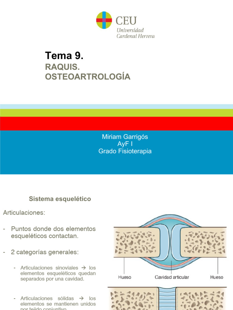Tema 9 Raquis | PDF