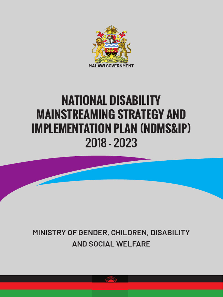 National Disability Mainstreaming Strategy - FINAL and PRINTED-2 | PDF ...