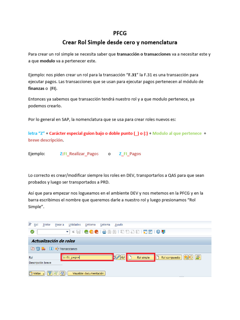Creación de Roles en SAP PFCG | PDF | Contabilidad