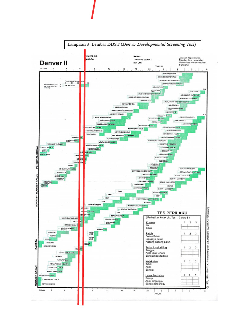 Denver II (Chart) | PDF