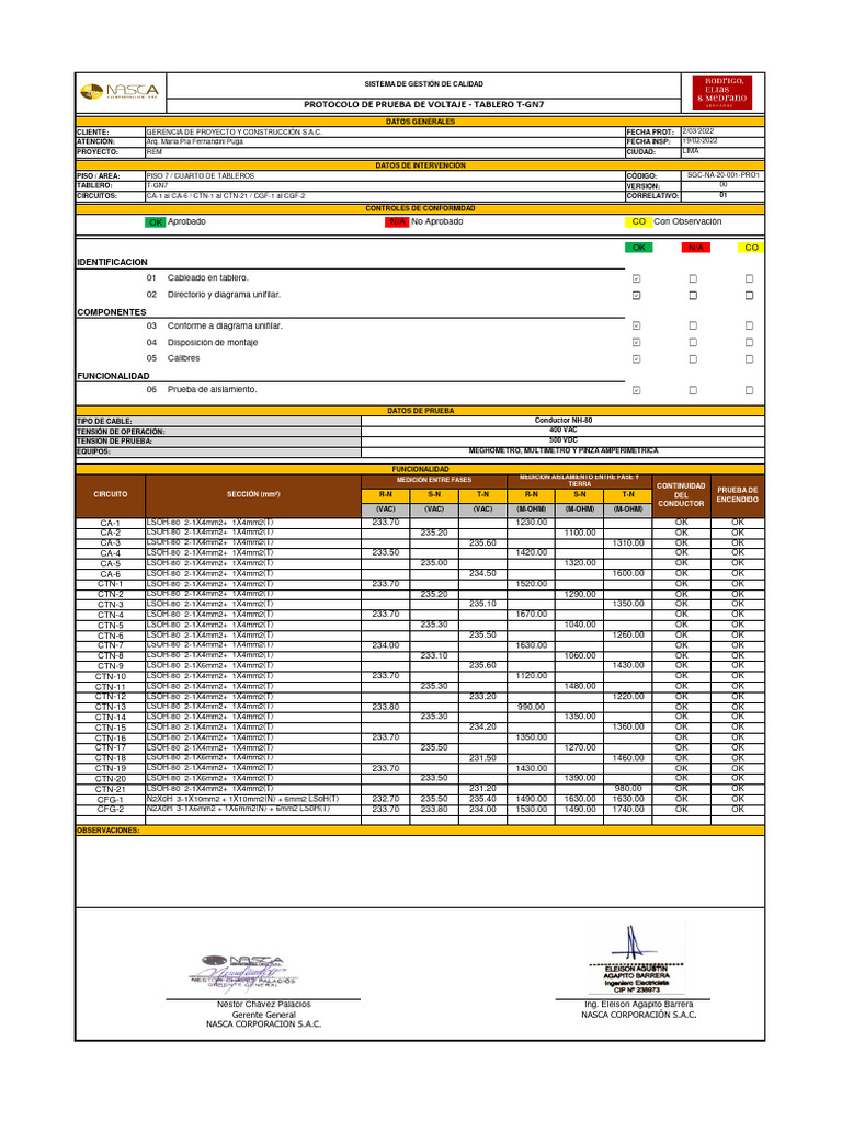 Protocolo Pruebas Meghados Rem | PDF