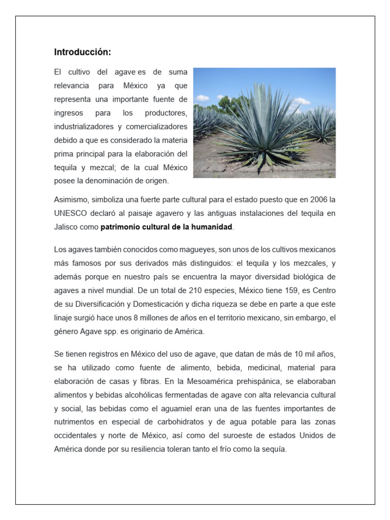 Agave | PDF