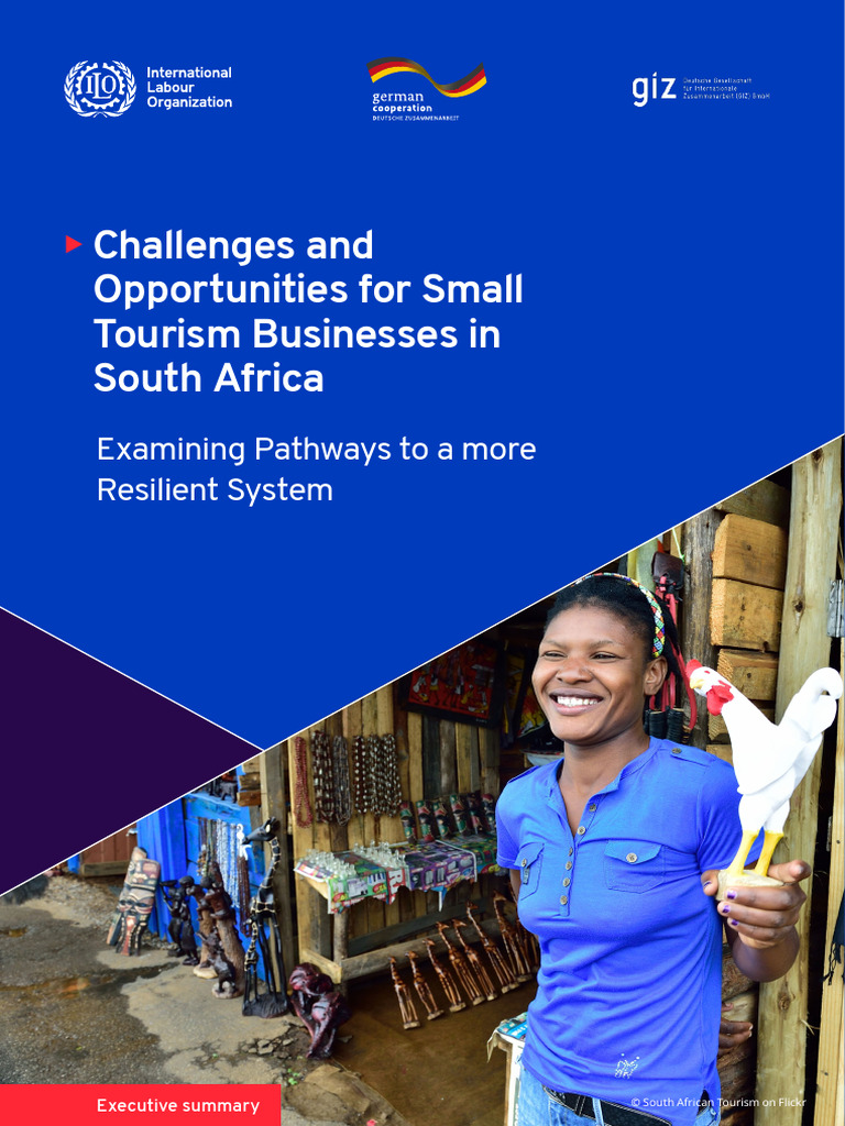 Wcms 866729 | PDF | Business | Social Science