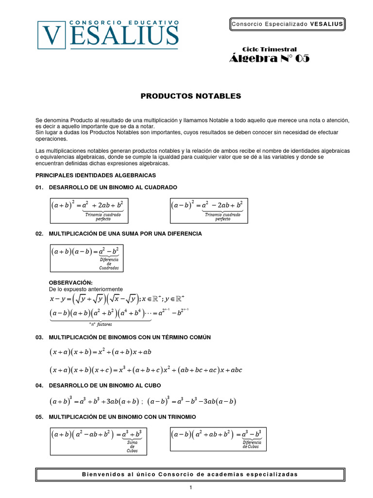 Algebra I. (05) Productos Notables | PDF