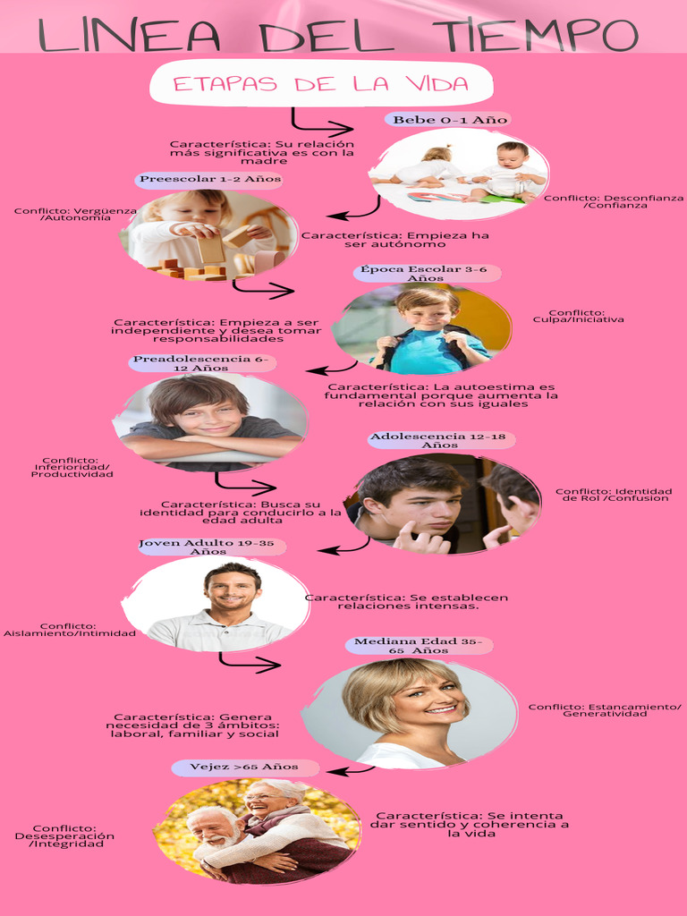 Infografía Etapas de La Vida | PDF
