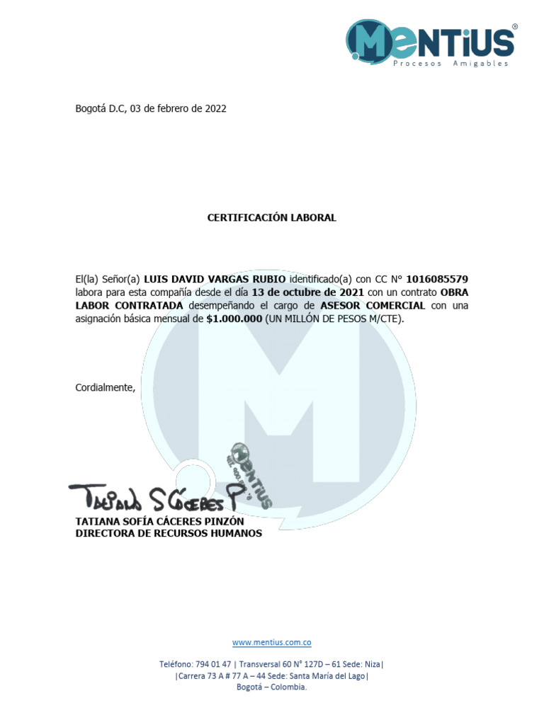 Luis David Vargas Rubio | PDF | Finanzas y dinero | Derecho