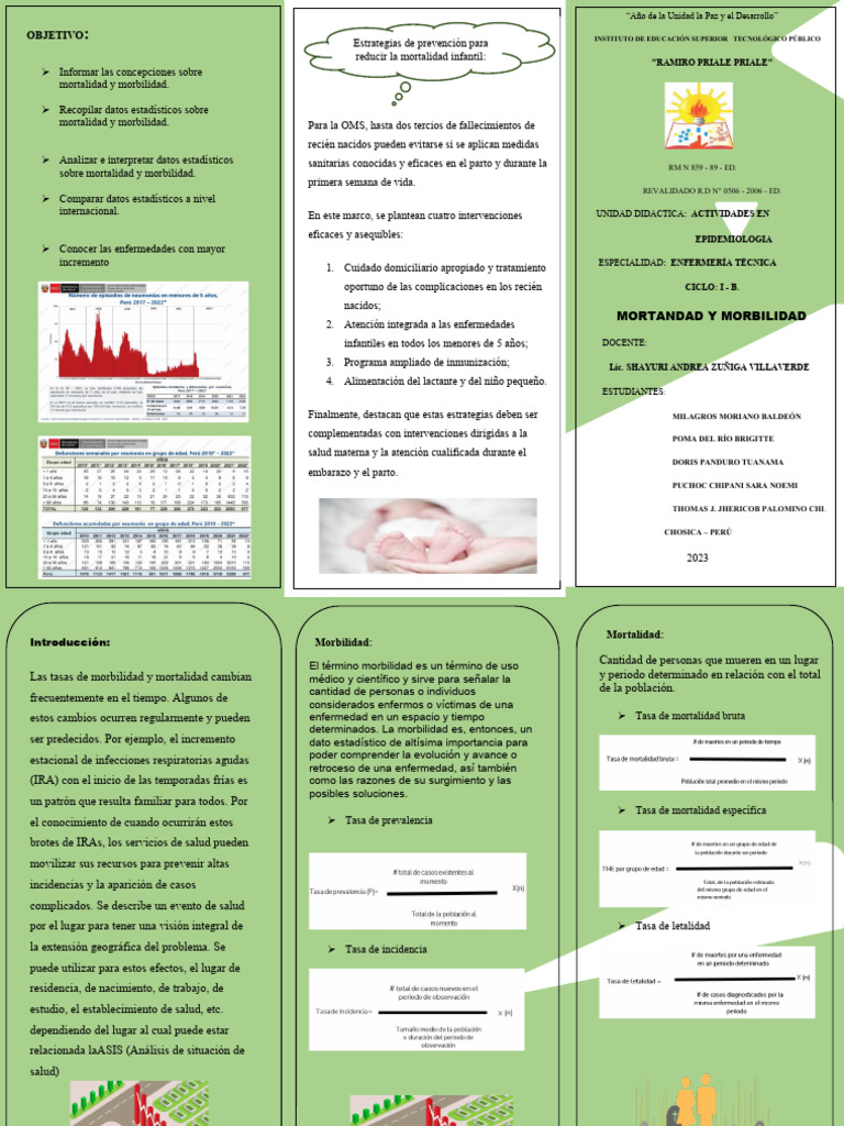 Triptico Mortalidad y Morbilidad | PDF
