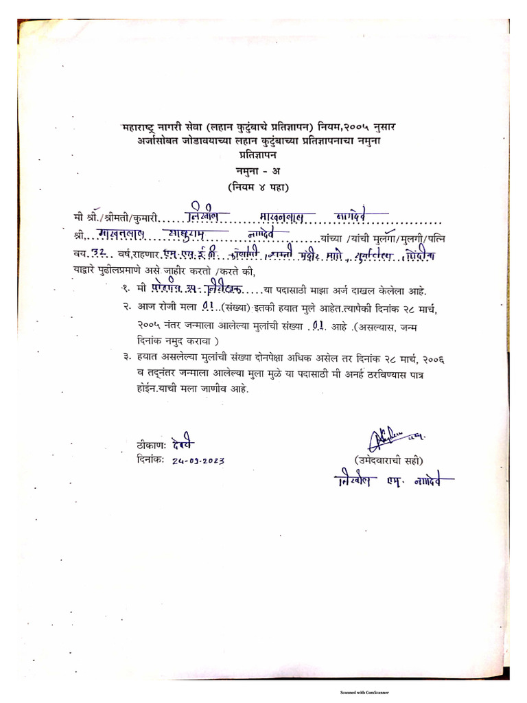 Declaration of Small Family | PDF