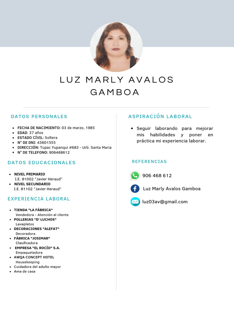 CV Luz Mary Avalos Gamboa | PDF