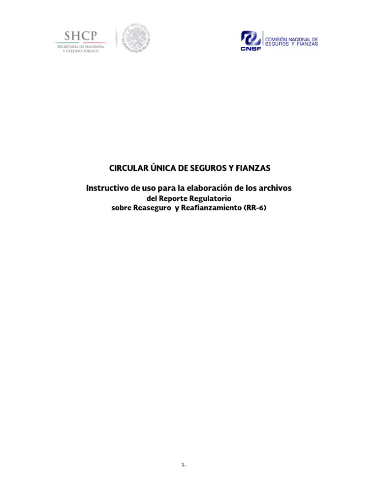 Instructivo RR6 | PDF | Reaseguro | Información