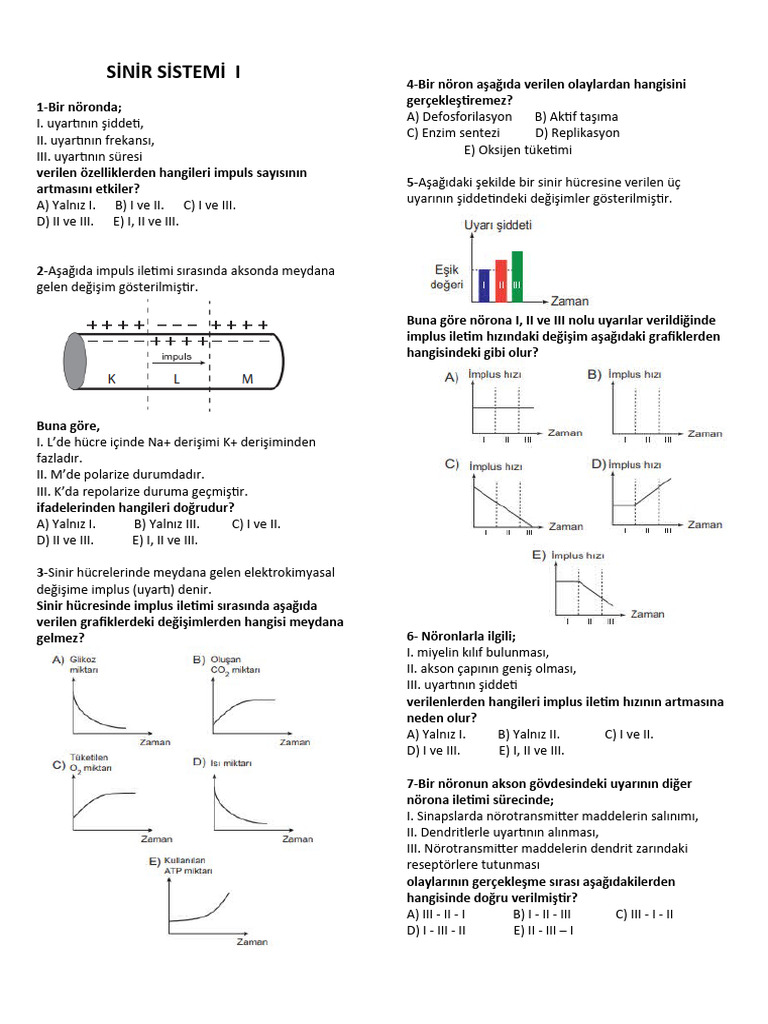 Sinir Sistemi Test 1 Meb Kavrama | PDF