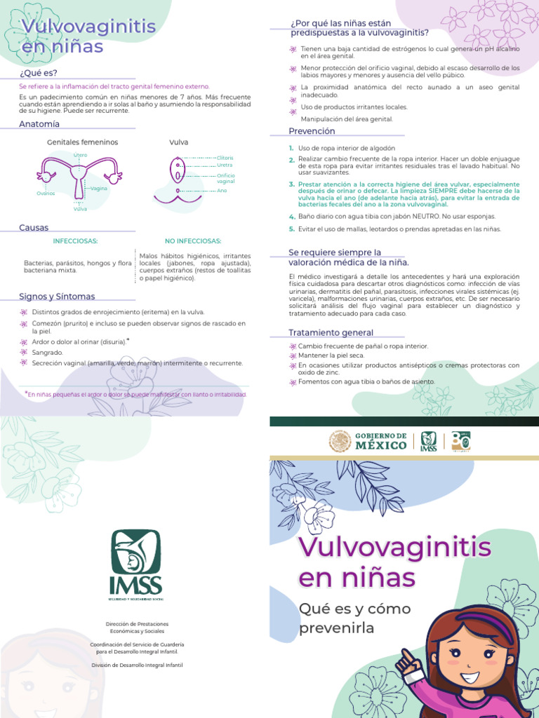 Díptico Vulvovaginitis | PDF | Especialidades Medicas | Reproducción humana