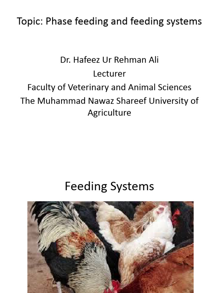 13.phase Feeding and Feeding Systems | PDF | Egg As Food | Broiler