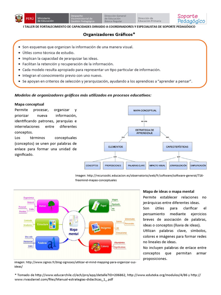 Organizadores Gráficos | PDF