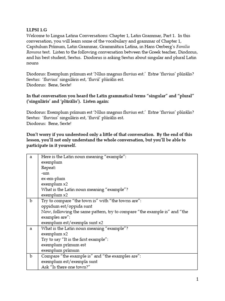 LLPSI 1.G - Guided Conversation | PDF | Plural | Grammatical Number