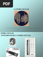 Línea de tiempo de la teoría celular | PDF | Nucleo celular | Biología ...