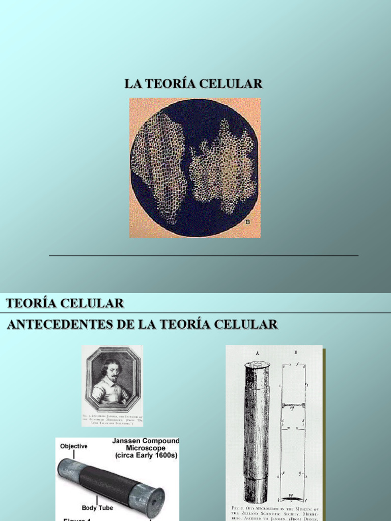 Teoria Celular Clase 22-O | PDF | Biología Celular) | Microscopio