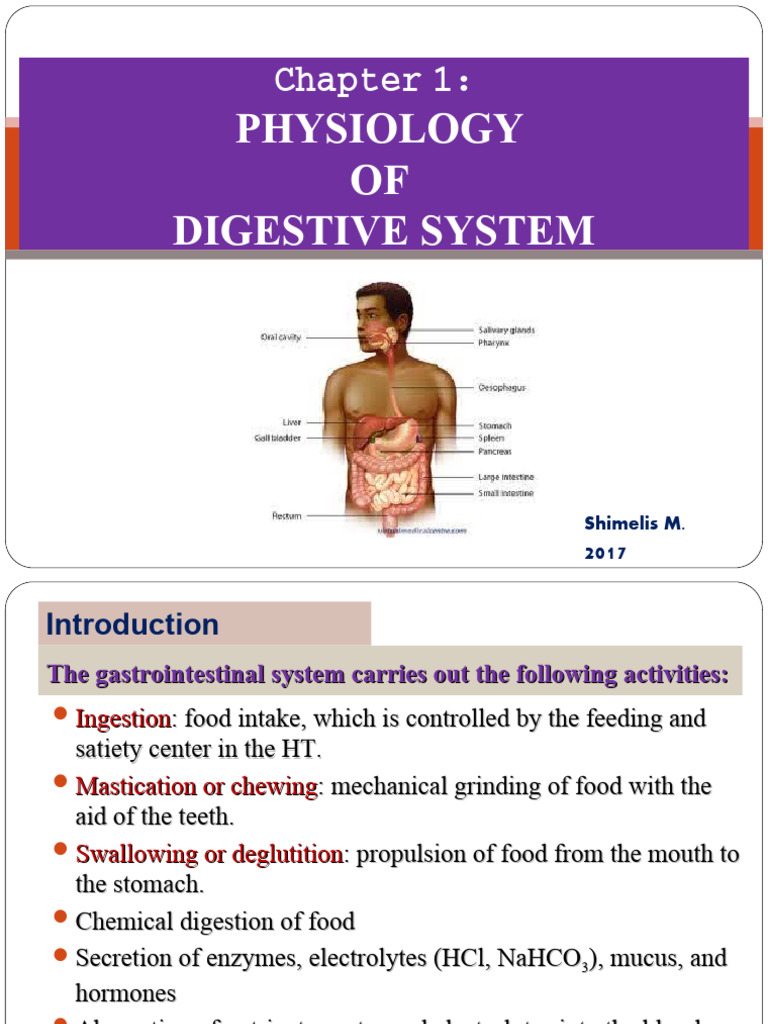 Physiology of GIT Nursing | PDF | Stomach | Pancreas