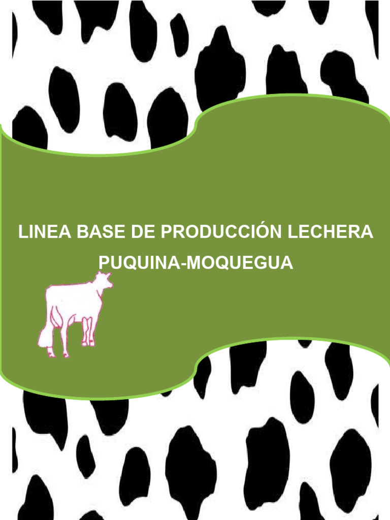 Linea Base | PDF