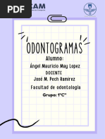 Odontogramas y Nomenclatura 2025 | PDF | Odontología | Diente