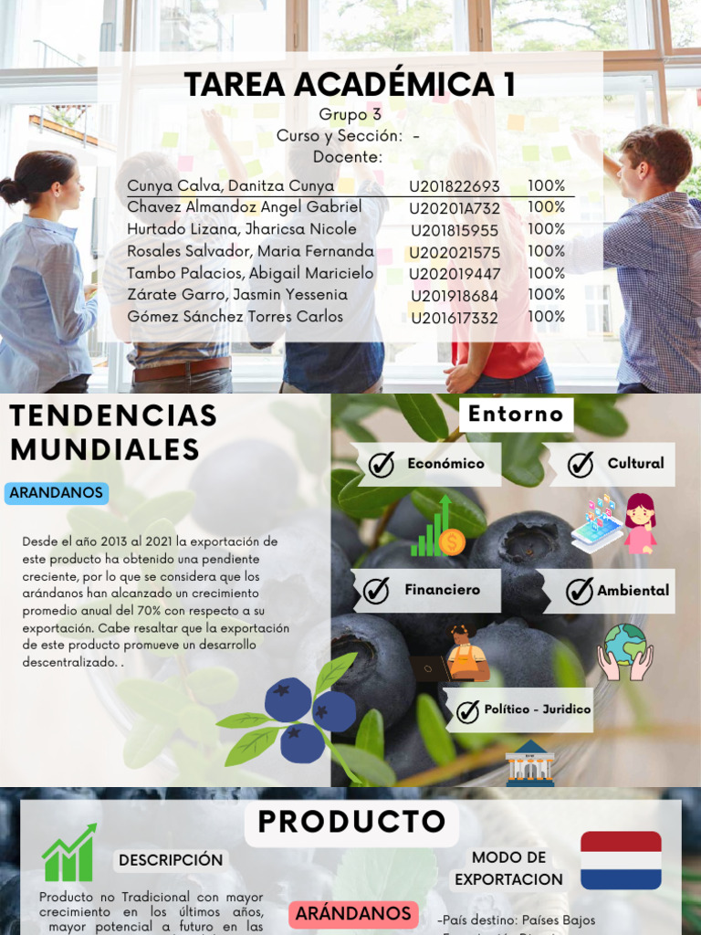 TP - Plan Comercial | PDF | Negocios | Finanzas y dinero
