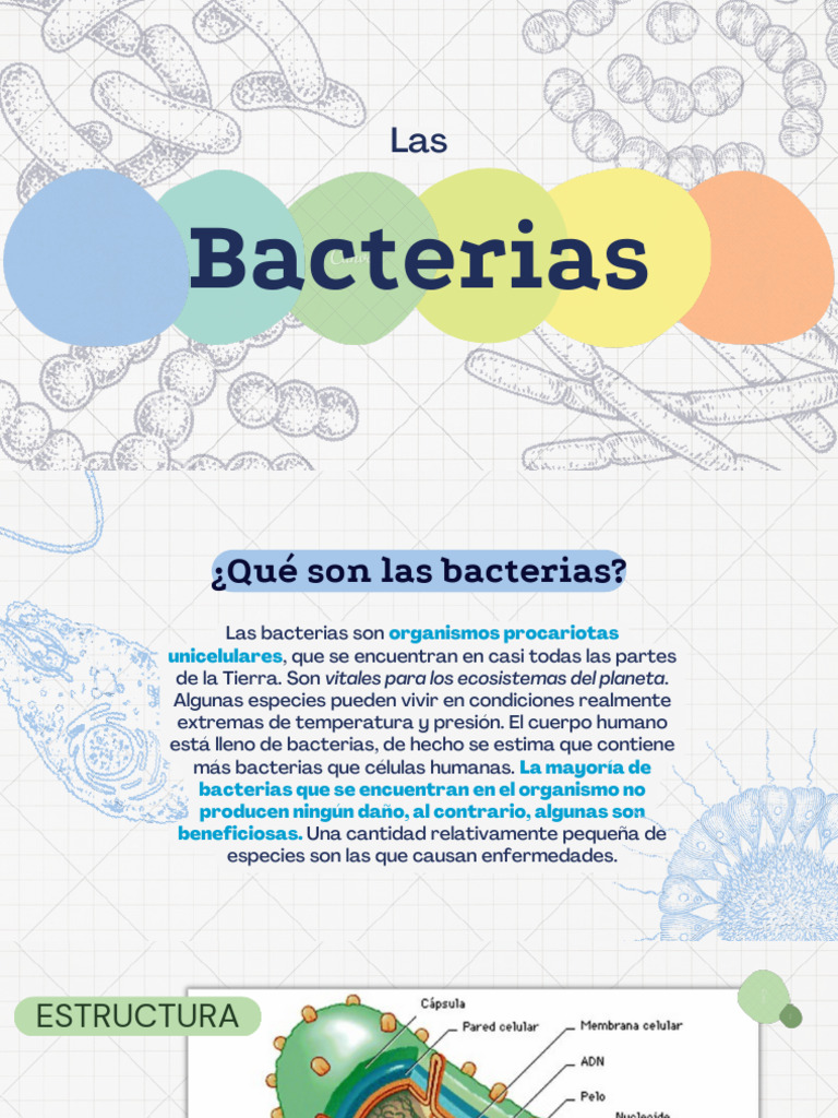 Las Bacterias | Descargar gratis PDF | Las bacterias | Biología Celular)