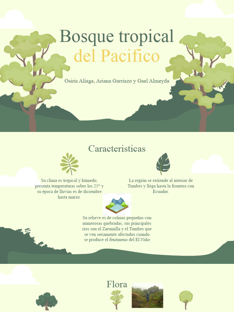 Bosque tropical del Pacifíco | PDF