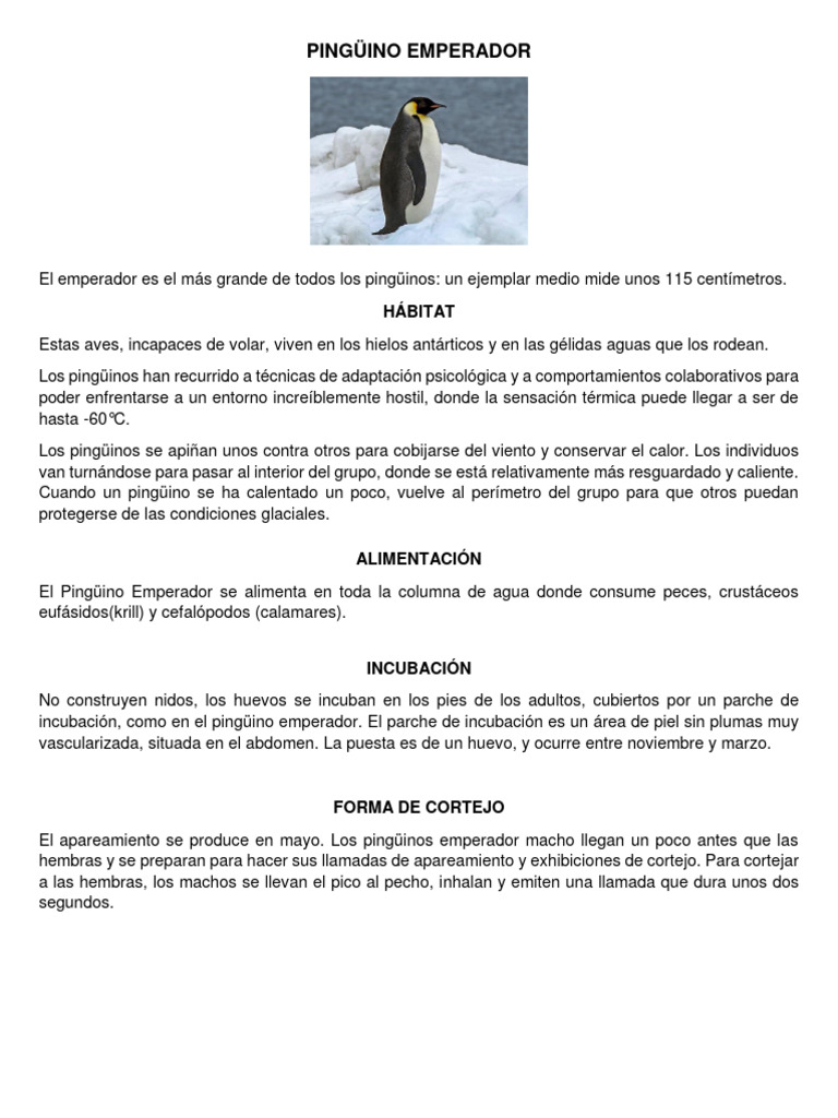 Animales y Su Habitat | PDF | Gatos | Tortuga