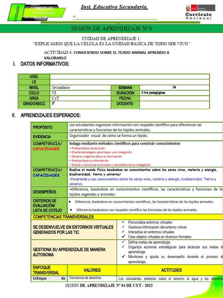 D2º Ses-Act 4-Cyt U1 | PDF | Músculo esquelético | Aprendizaje