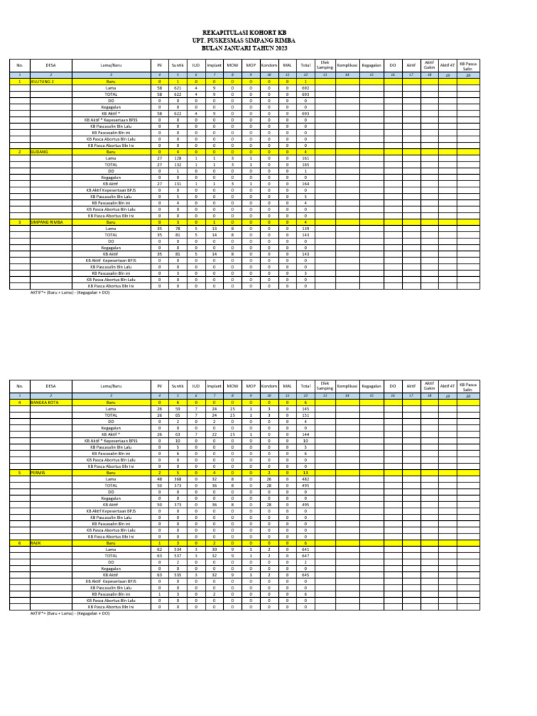 Laporan Kohort KB 2023 | PDF