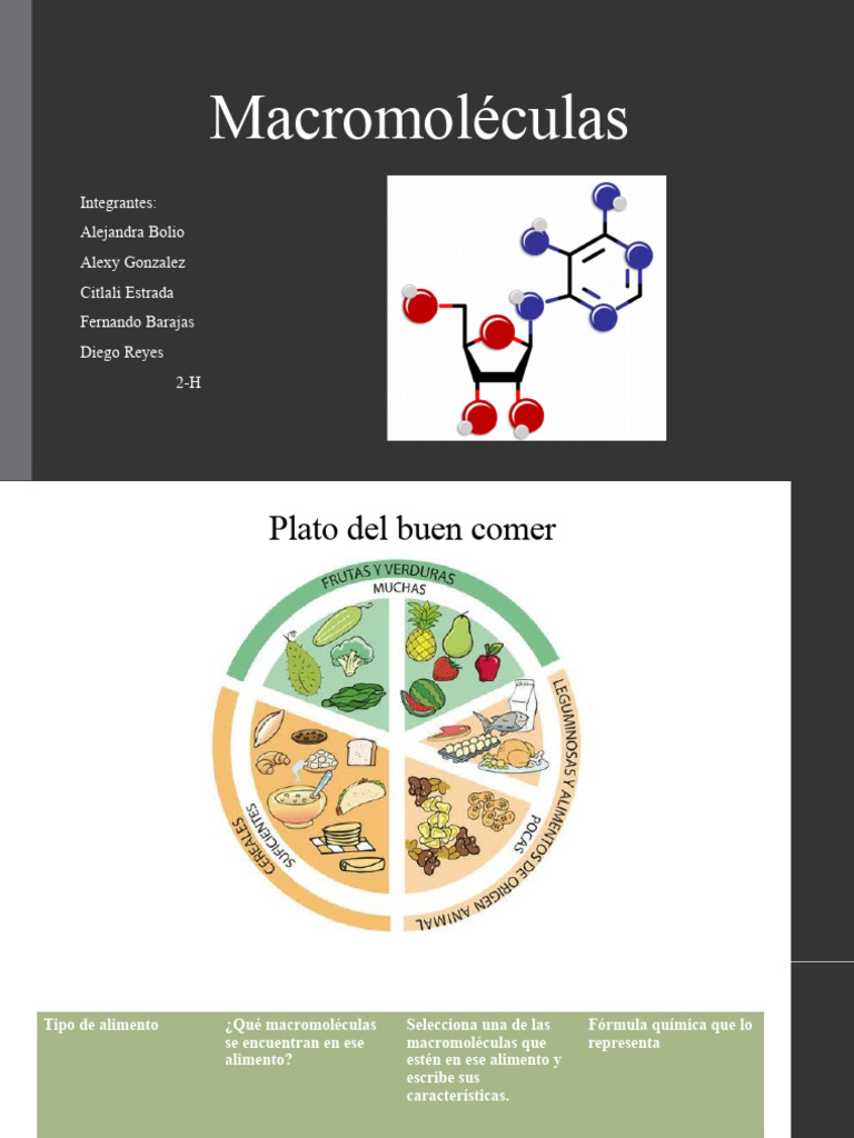 Proyecto de Las Macromoleculas H | PDF
