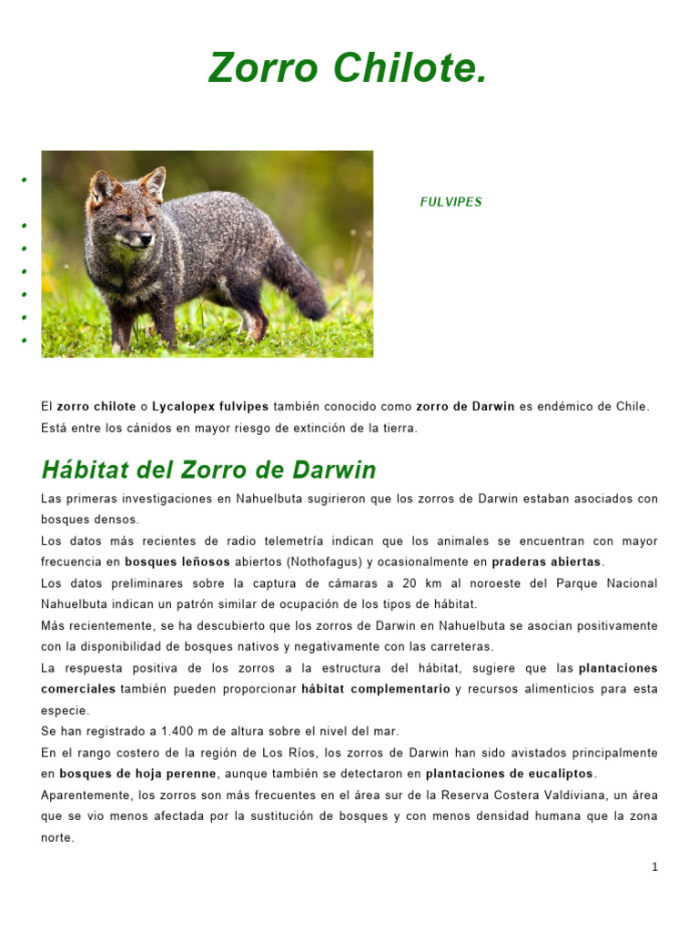 Zorro Chilote | PDF | Ecología