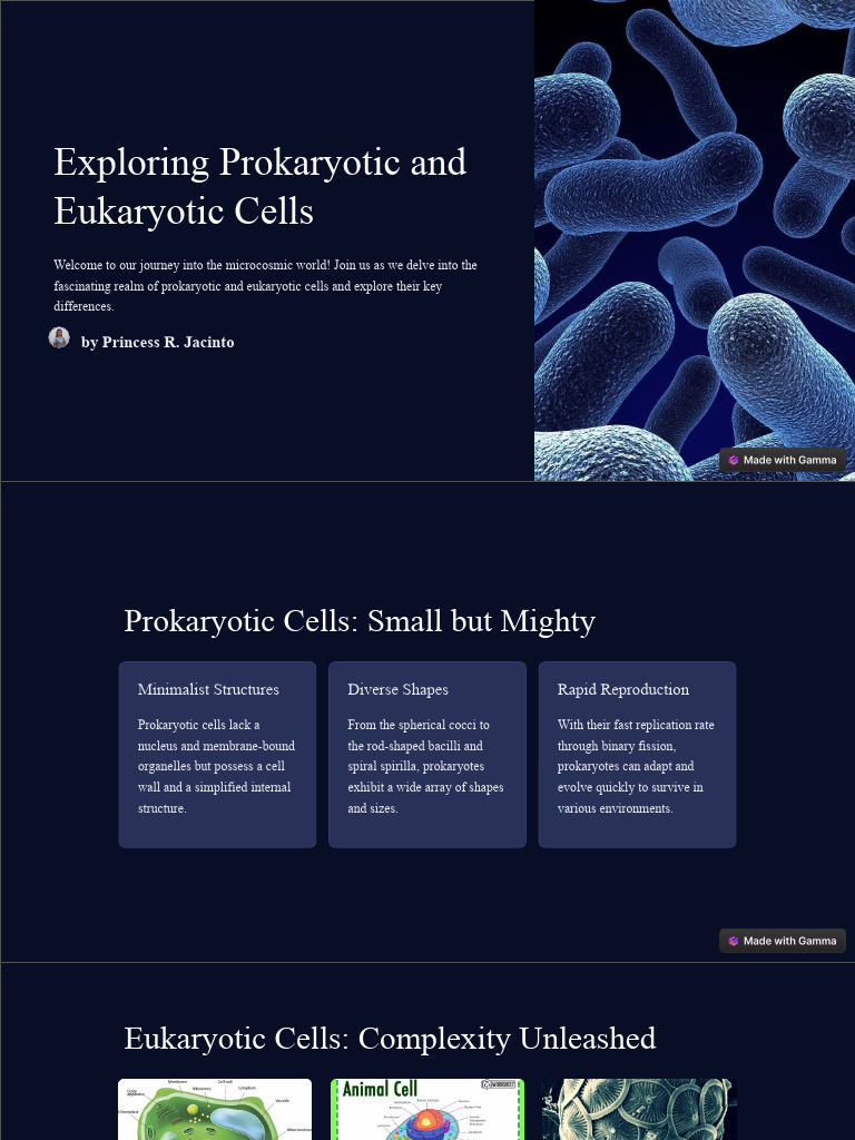 Exploring Prokaryotic and Eukaryotic Cells | PDF | Cell (Biology) | Prokaryote