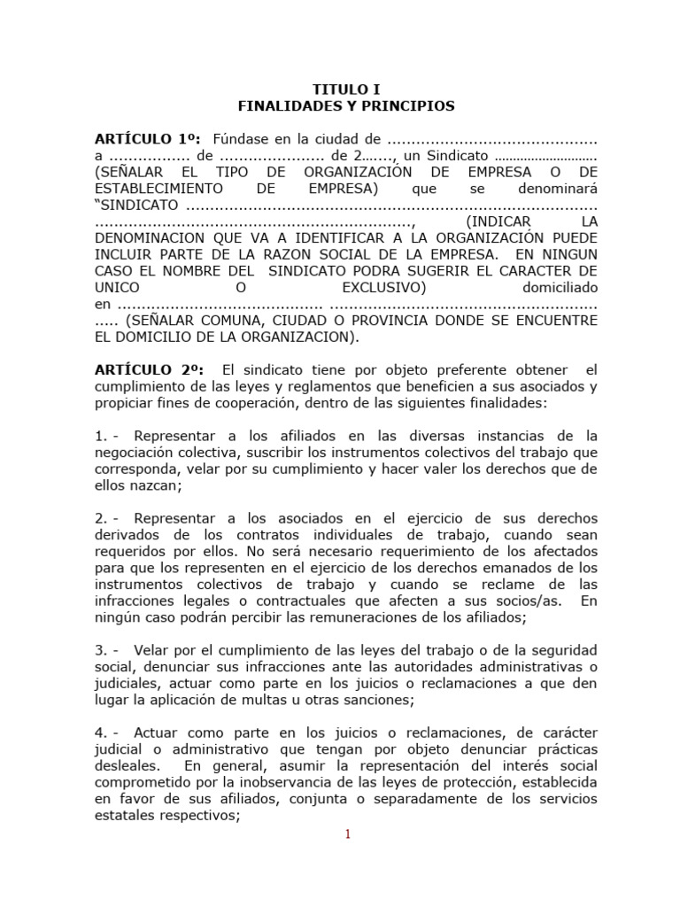 Modelo de Estatuto | Descargar gratis PDF | Votación | Presupuesto