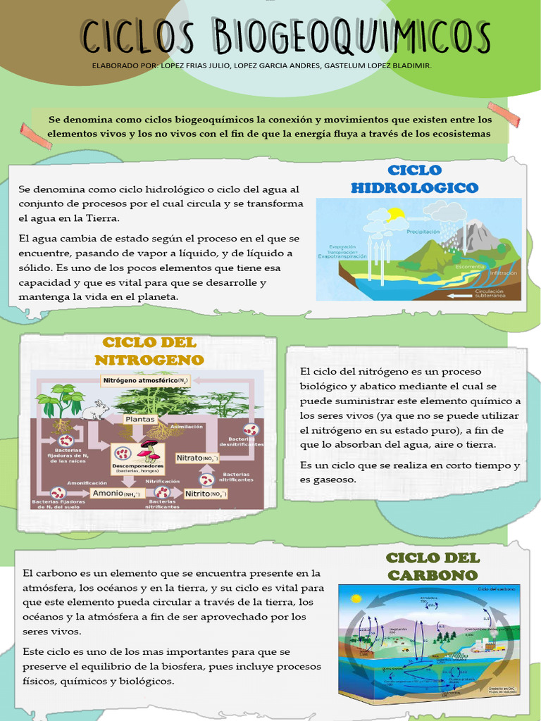 Infografia Ciclos Biogeoquimicos | PDF