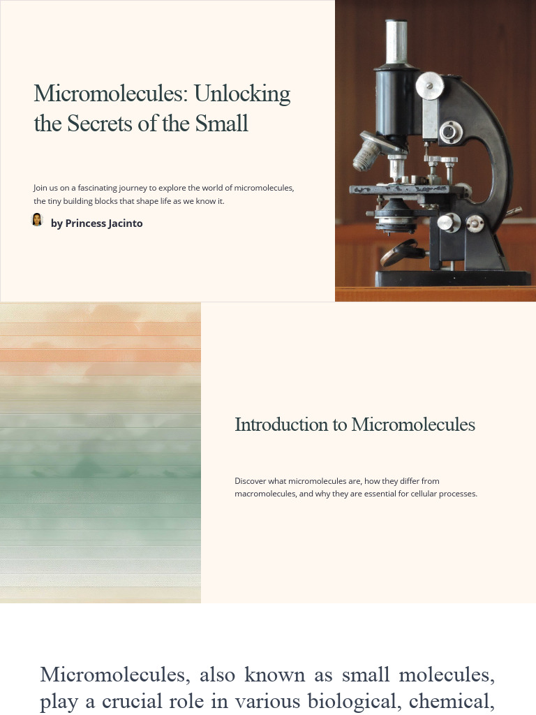 Understanding Micromolecules and Their Roles | PDF | Macromolecules ...