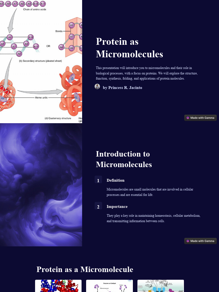 Protein As Micromolecules | PDF | Proteins | Cell (Biology)