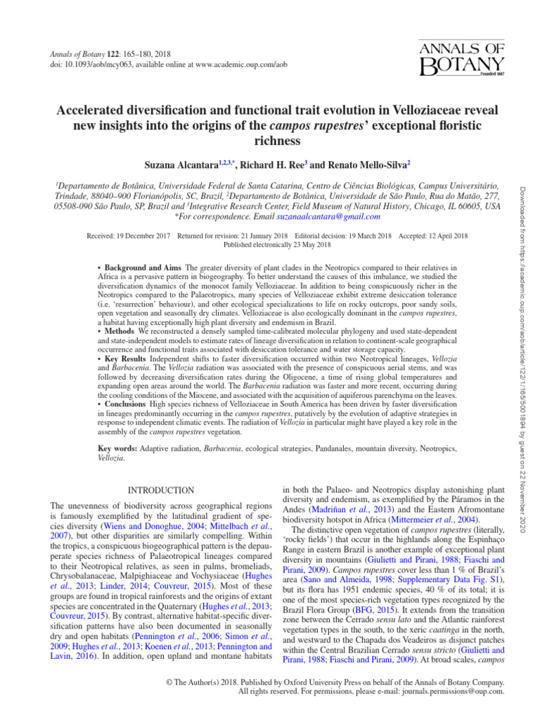 Velloziaceae Evolution Insights | PDF | Biodiversity | Evolutionary Biology
