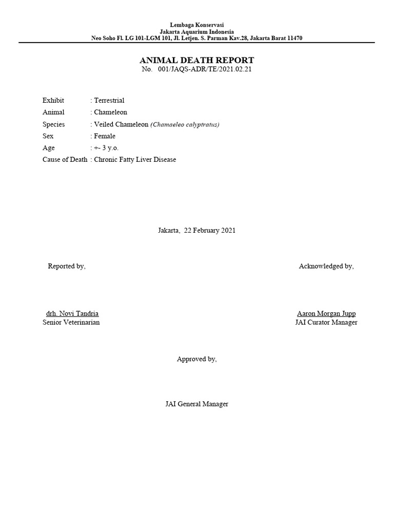 21.02.21 Chameleon Necropsy | PDF