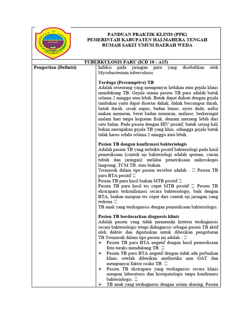 PPK TB Paru | PDF