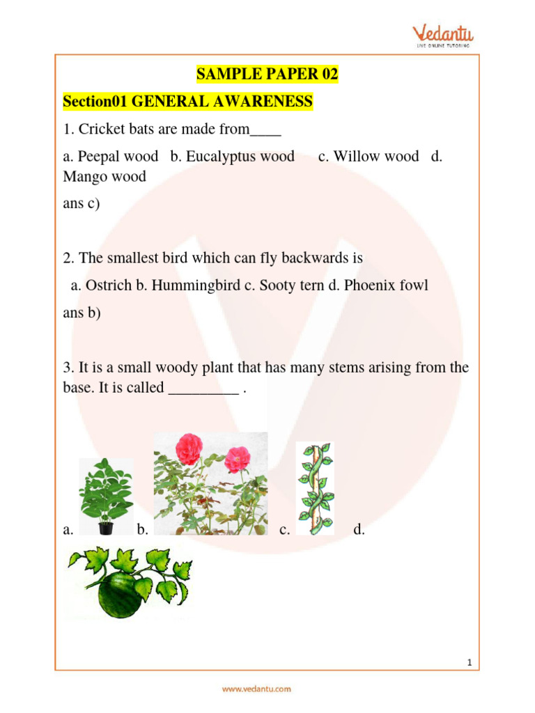 SOF IGKO Class 3 Sample Paper 2 With Solutions For FREE | Download Free PDF | Central Processing ...