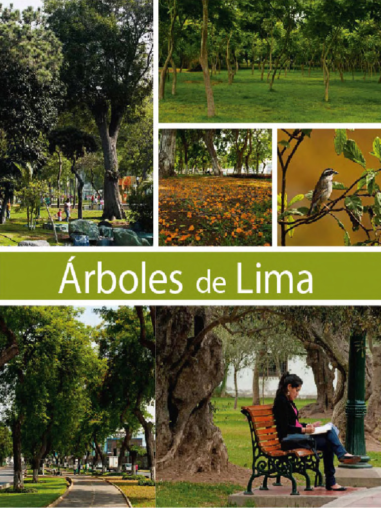 Árboles de Lima | PDF | Arboles | Lima