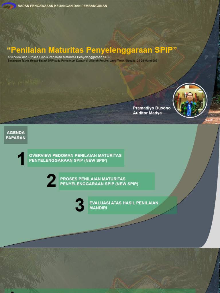 Penilaian Maturitas Penyelenggaraan SPIP | PDF