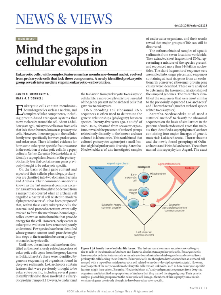 2017 - Mind The Gaps in Cellular Evolution | PDF | Eukaryotes | Cell ...