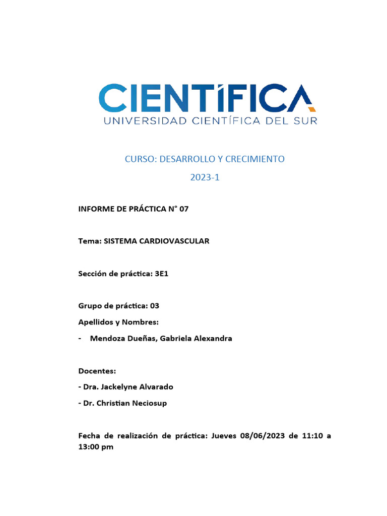 Informe 07 | PDF | Corazón | Sistema circulatorio