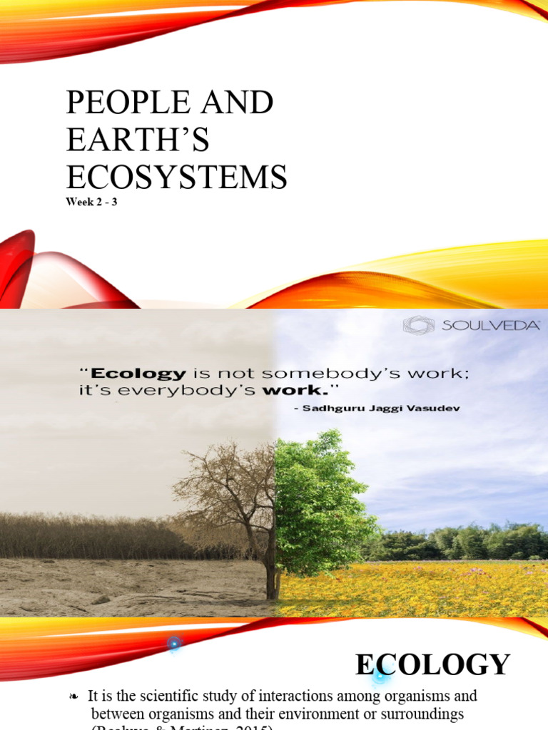 LESSON 1-The Ecosystem | PDF