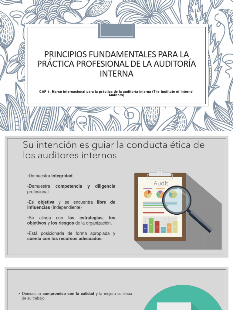 Principios Fundamentales para La Práctica Profesional de La Auditoría ...