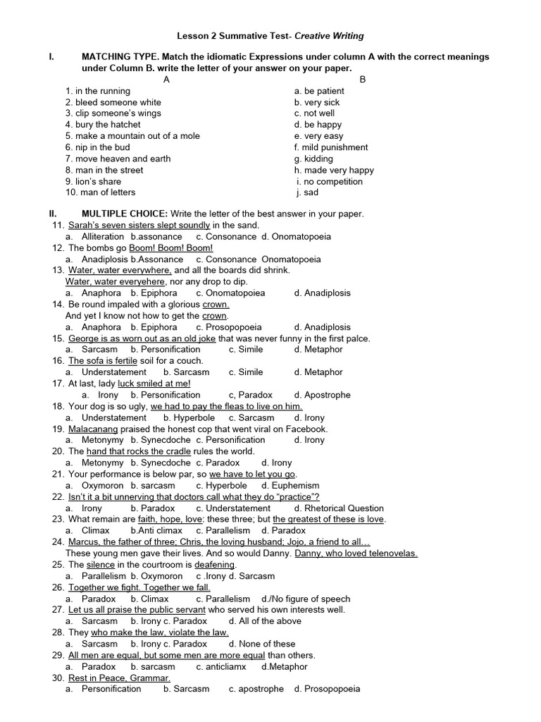 Creative Writing Summative Lesson 2 | PDF | Irony | Semiotics