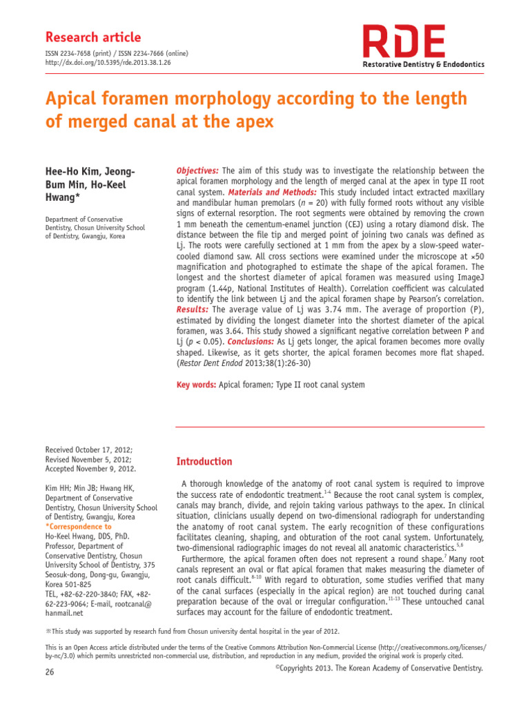 Apical Foramen Morphology According To The Length of Merged Canal at ...