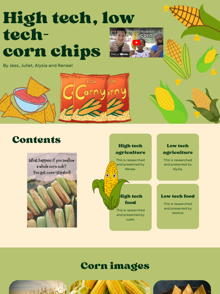 High Tech Low Tech - Corn Chips | PDF | Maize | Agriculture